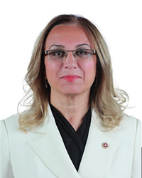 Milliyetçi Hareket Partisi